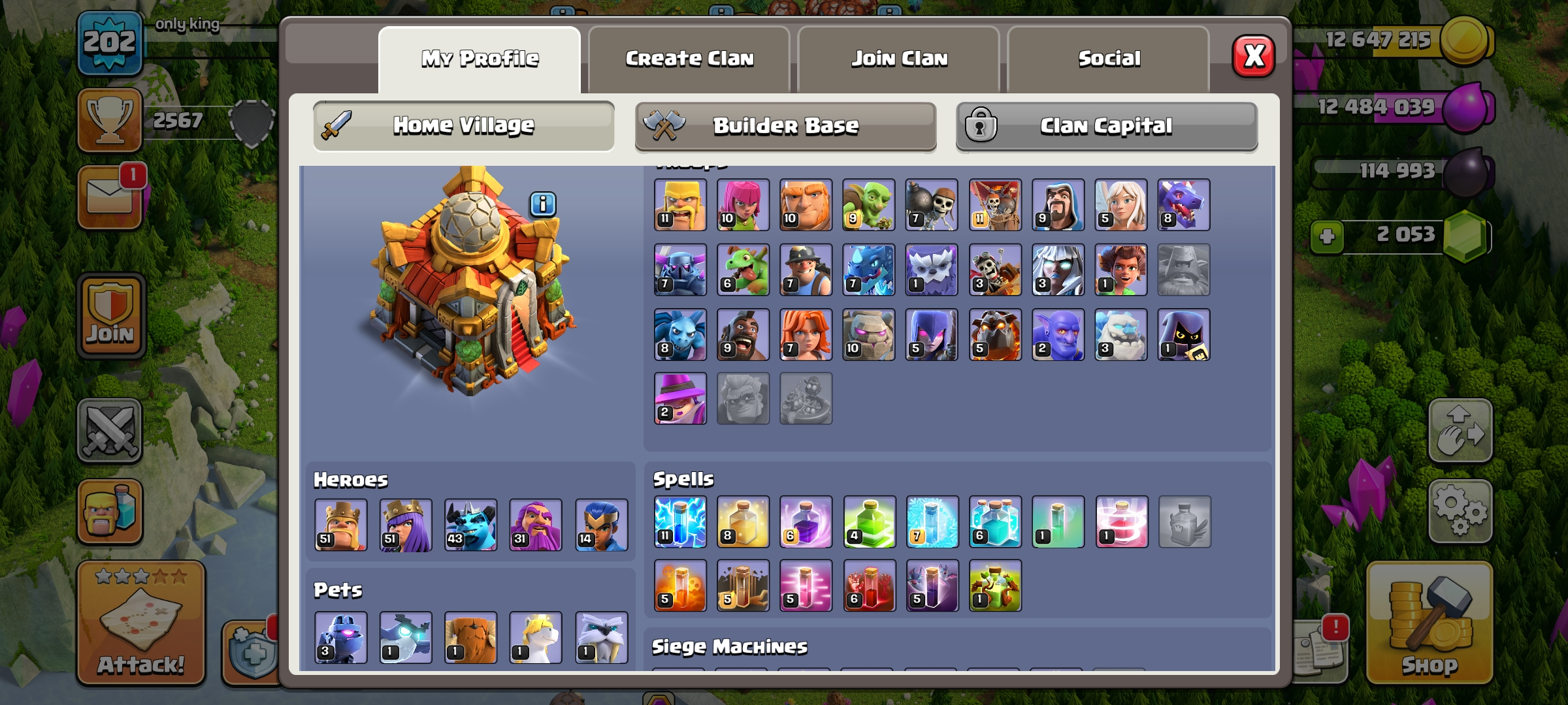 Achetez TH 16 Semi Max Heroes skins Magic items Epic Equipments 3 ... Achetez TH 16 Semi Max Heroes skins Magic items Epic Equipments 3 ...