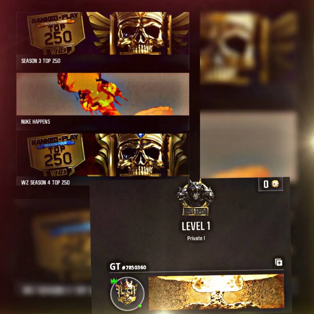 Kup 🔮 Singularity Camo on All Weapons 💎 30 Blueprints 💥 Nuke Calling ...