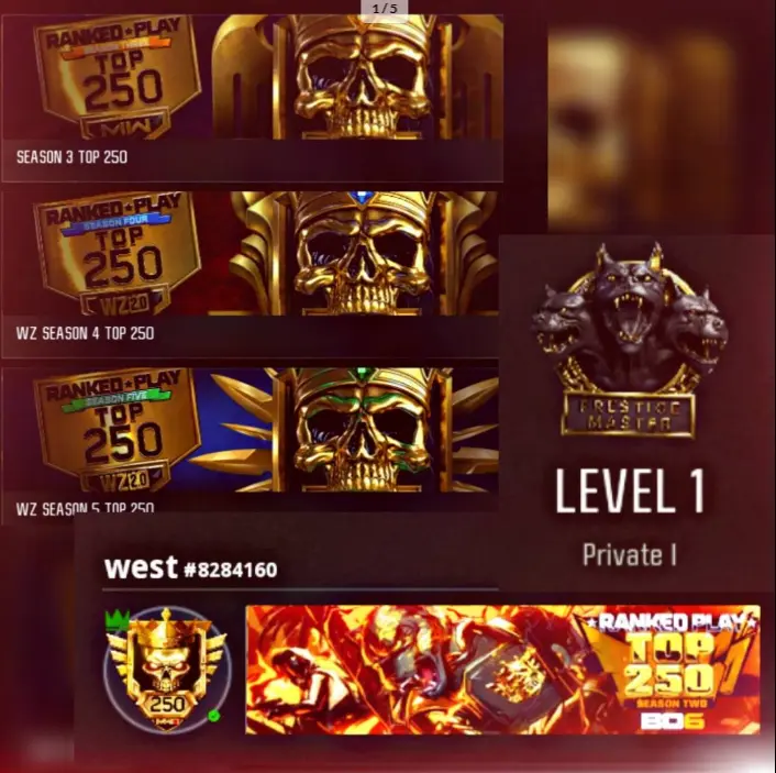 Buy 🔮ArcLight Camo All guns Top 250 Calling Card 🌌Top 250 Embelem ...