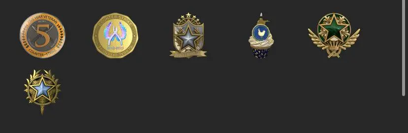 购买 6 MEDALS丨2020 | 2021 | 2022 | 10 YEAR BIRTHDAY | Global Offensive ...