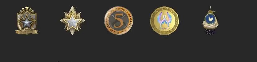 Buy 5 MEDALS丨2022 | 2023 | 10 YEAR BIRTHDAY | Global Offensive Badge ...