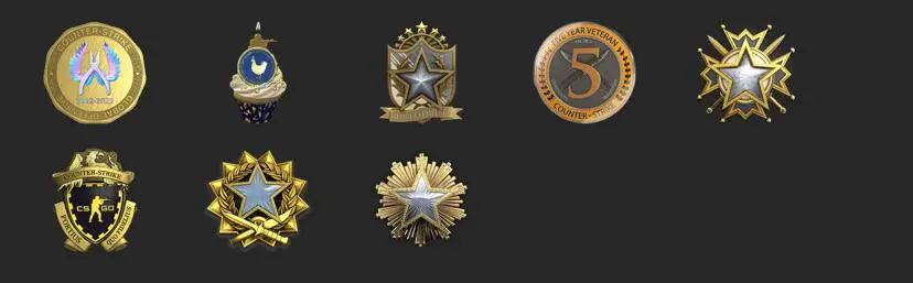 购买 8 MEDALS丨2016 | 2017 | 2019 | 2022 | LOYALITY | Global Offensive ...