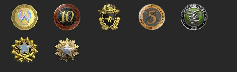 购买 7 MEDALS丨2016 | 2017 | SILVER HYDRA | 10 YEAR | LOYALITY | Global ...