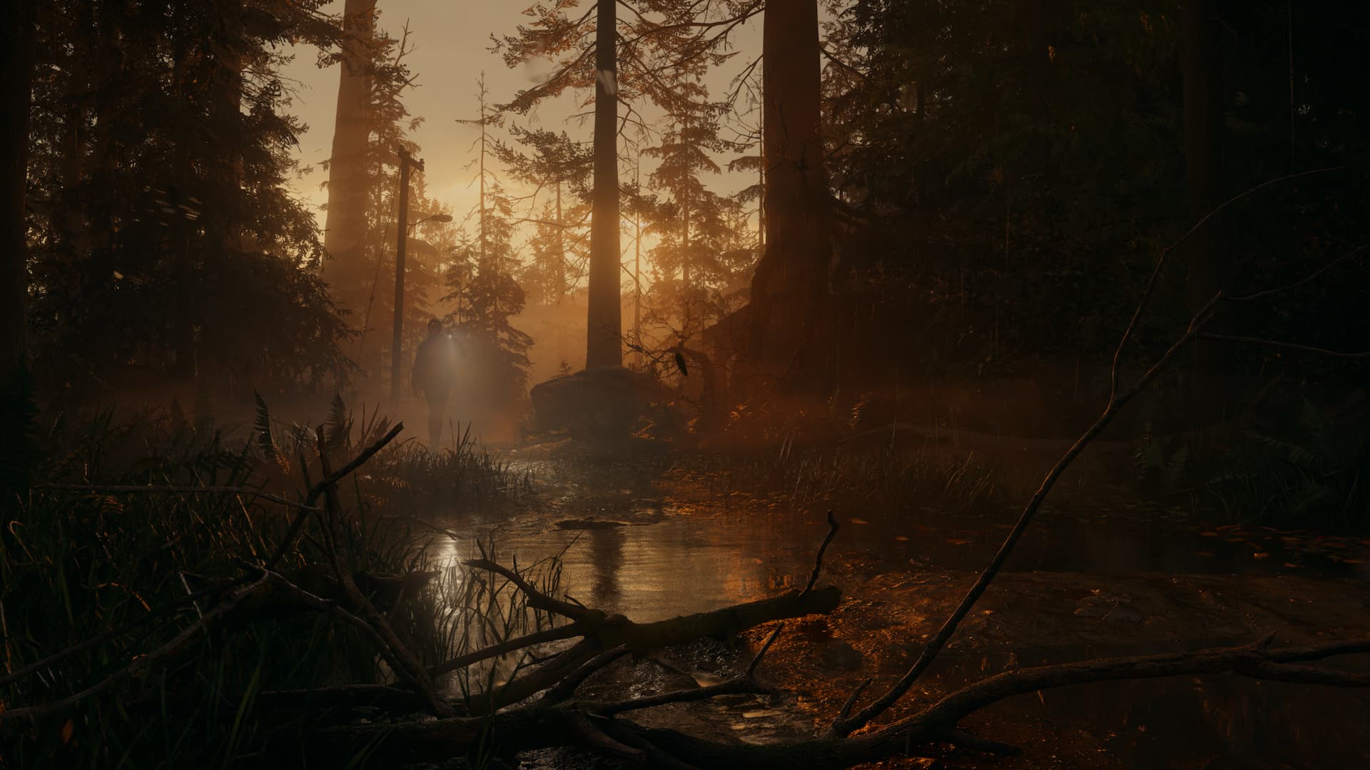 Alan Wake 2 (Xbox Series X/S) - Xbox Live Key - NIGERIA kaufen